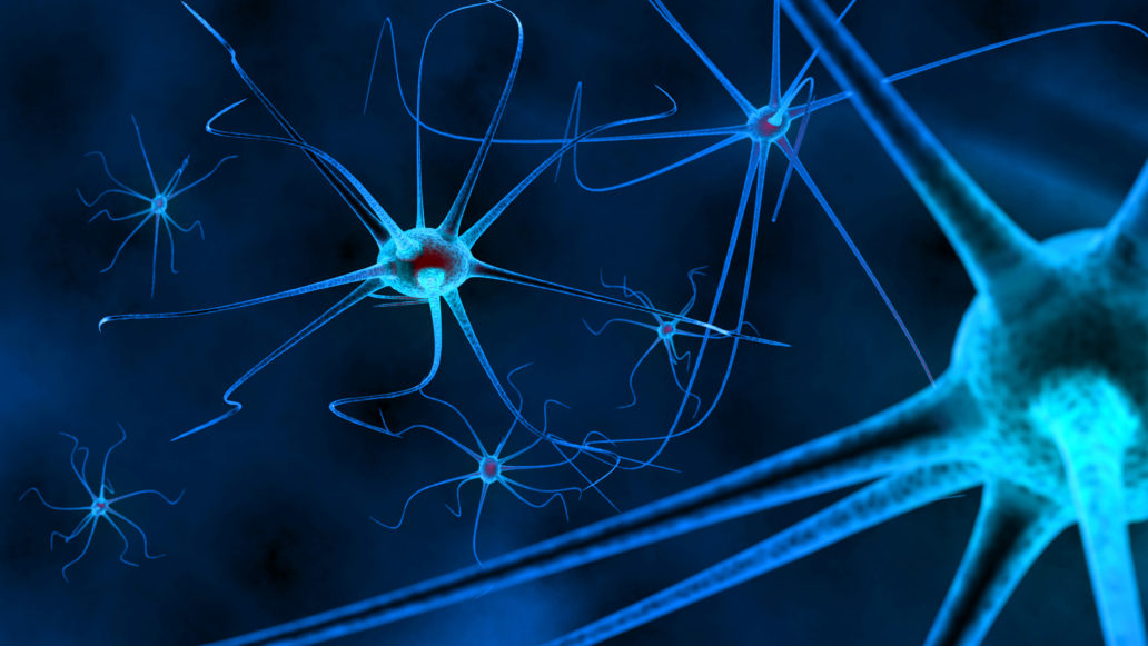 How to improve your conversations with neuroscience - Prezi Blog